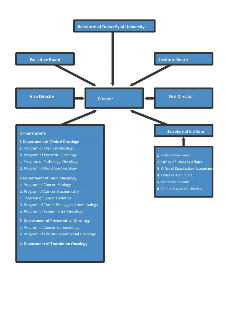 Institutional Organization Chart | DEU Institute of Oncology